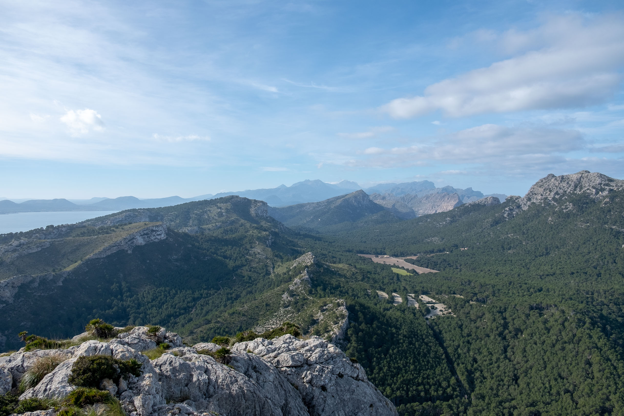 Cap de Formentor - Estilo Palma