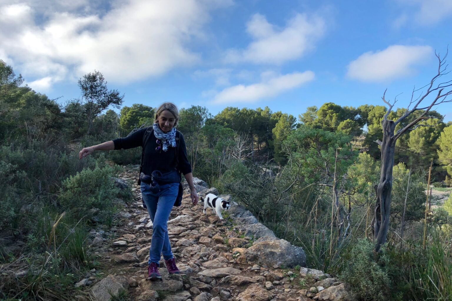 Animals on Mallorca: Discover Wildlife and Companions - Estilo Palma
