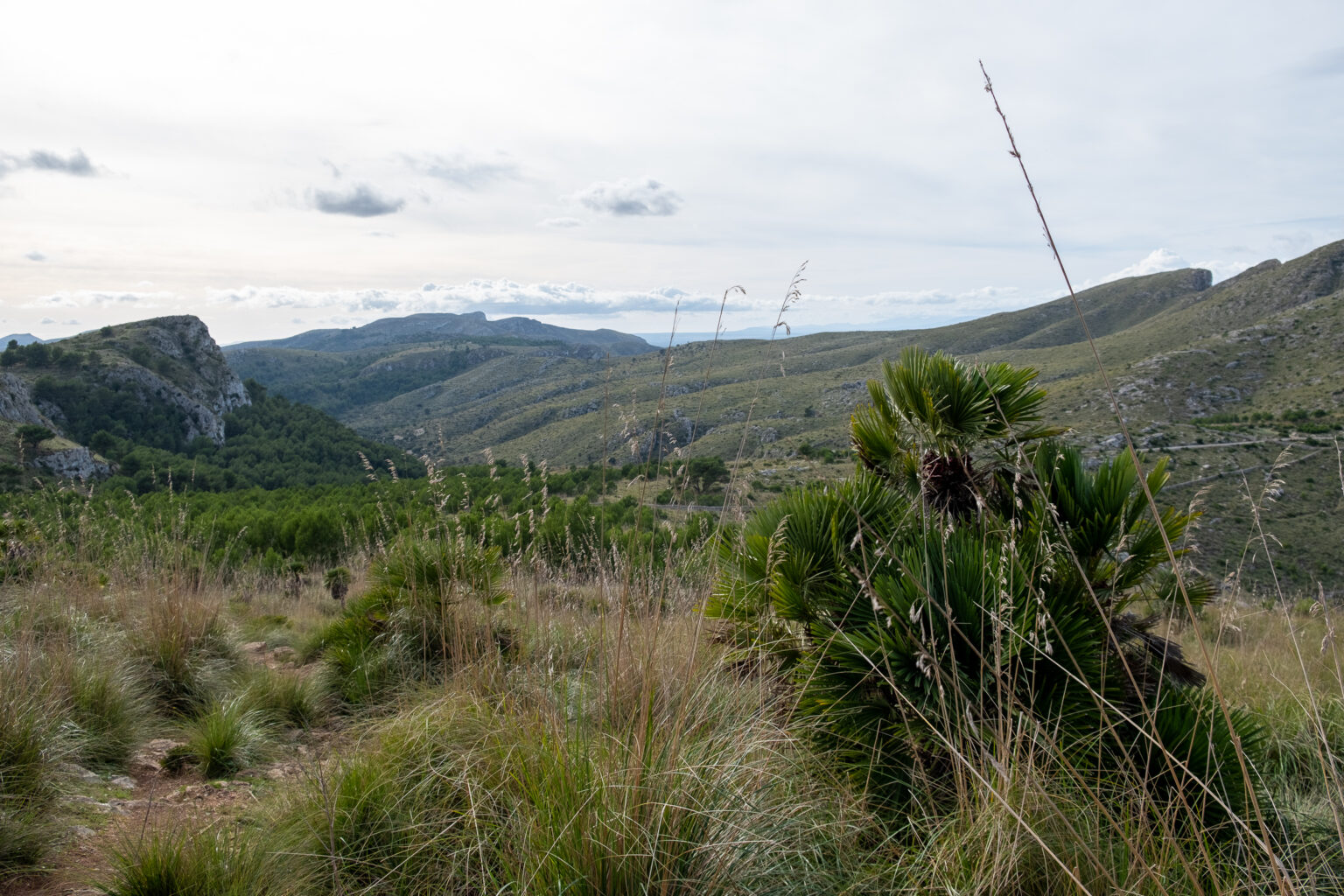 Mallorca's Wild East: Parc Natural de Llevant - Estilo Palma