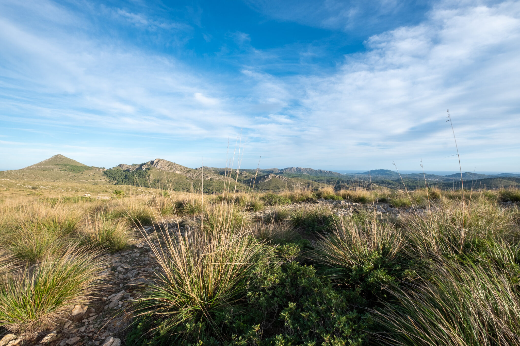Mallorca's Wild East: Parc Natural de Llevant - Estilo Palma
