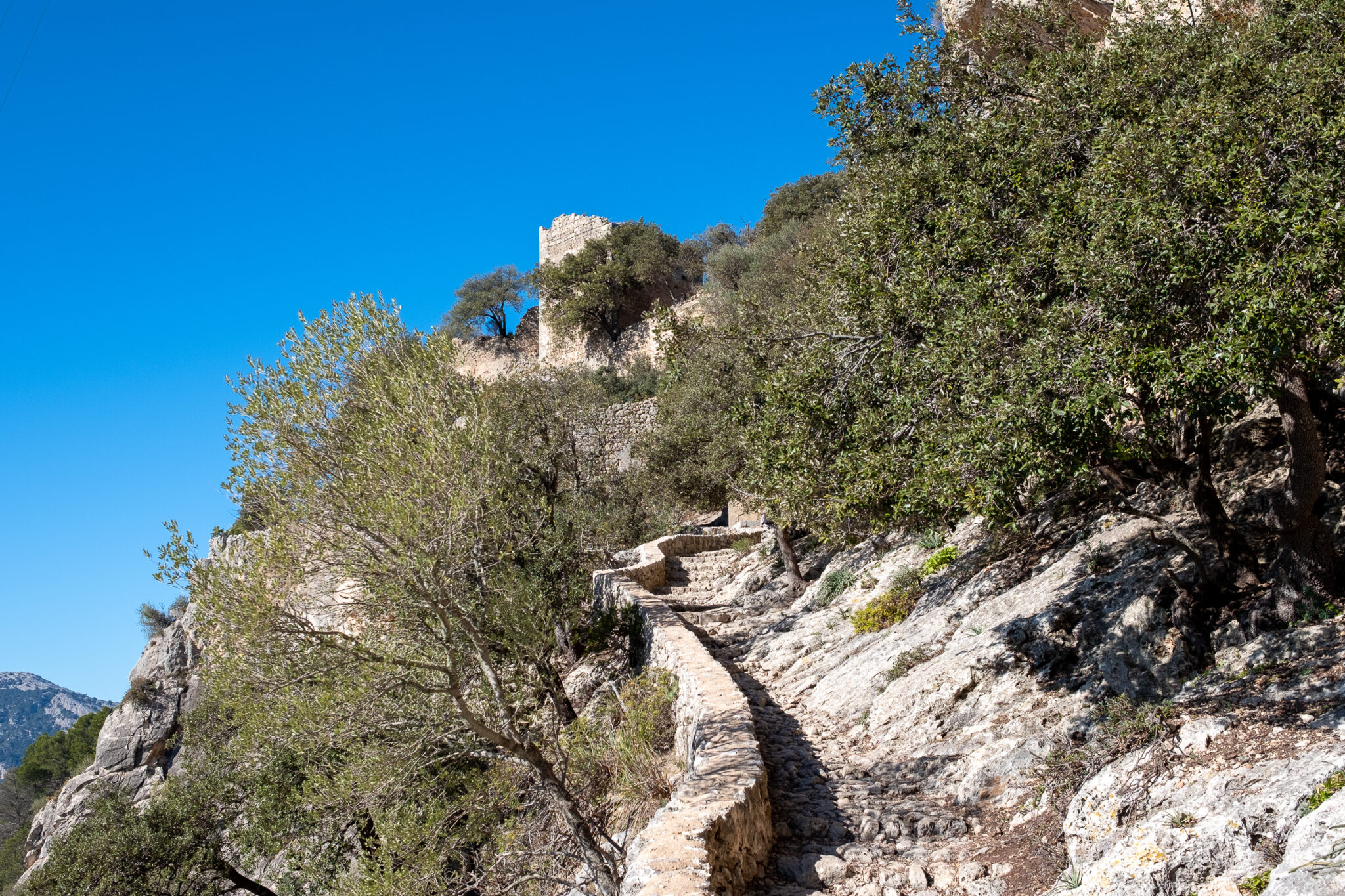 Easy Hikes on Mallorca: Top 12 Routes - Estilo Palma