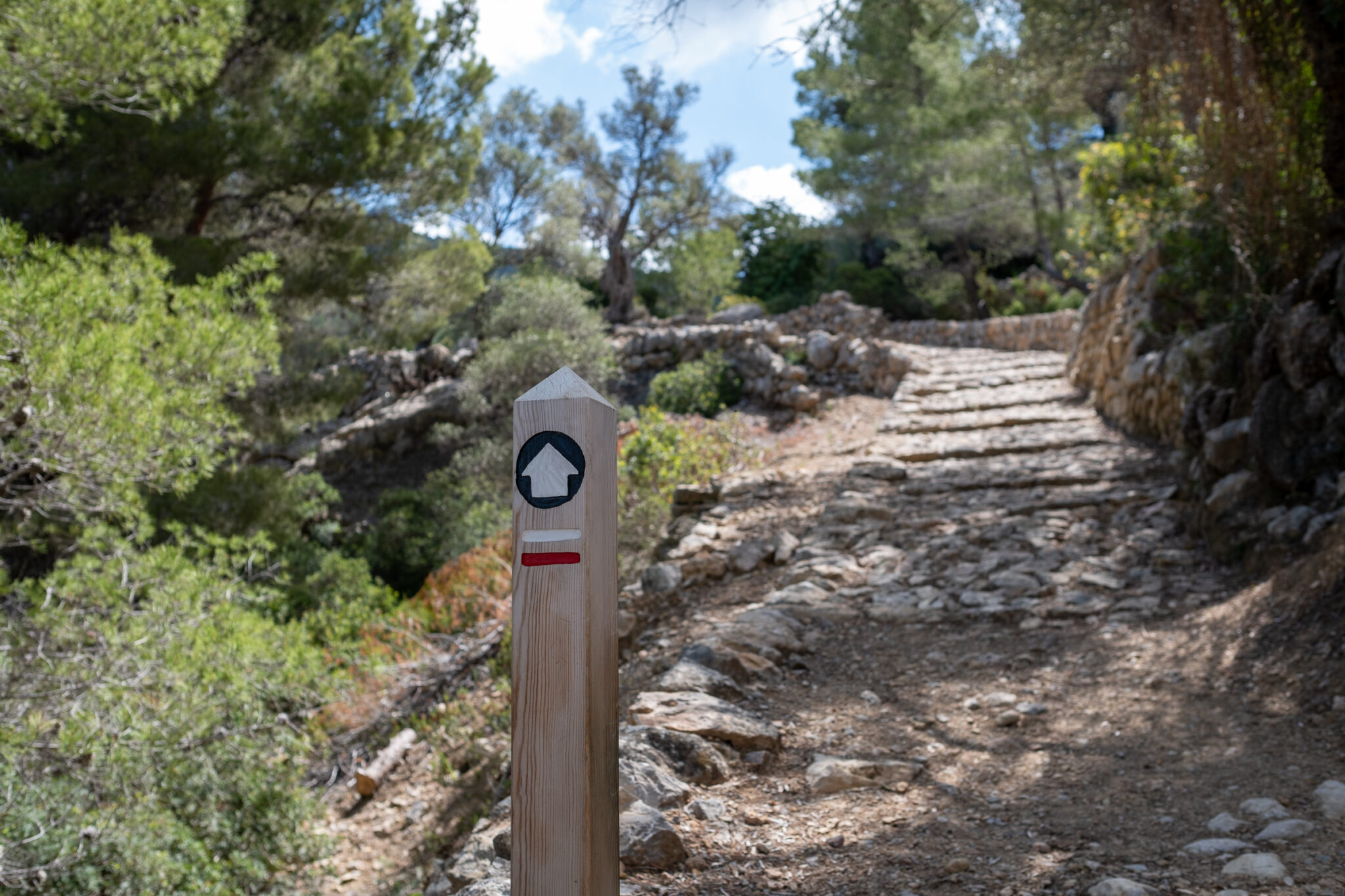 Camí Vell d'Estellencs: Hiking to Puigpunyent - Estilo Palma