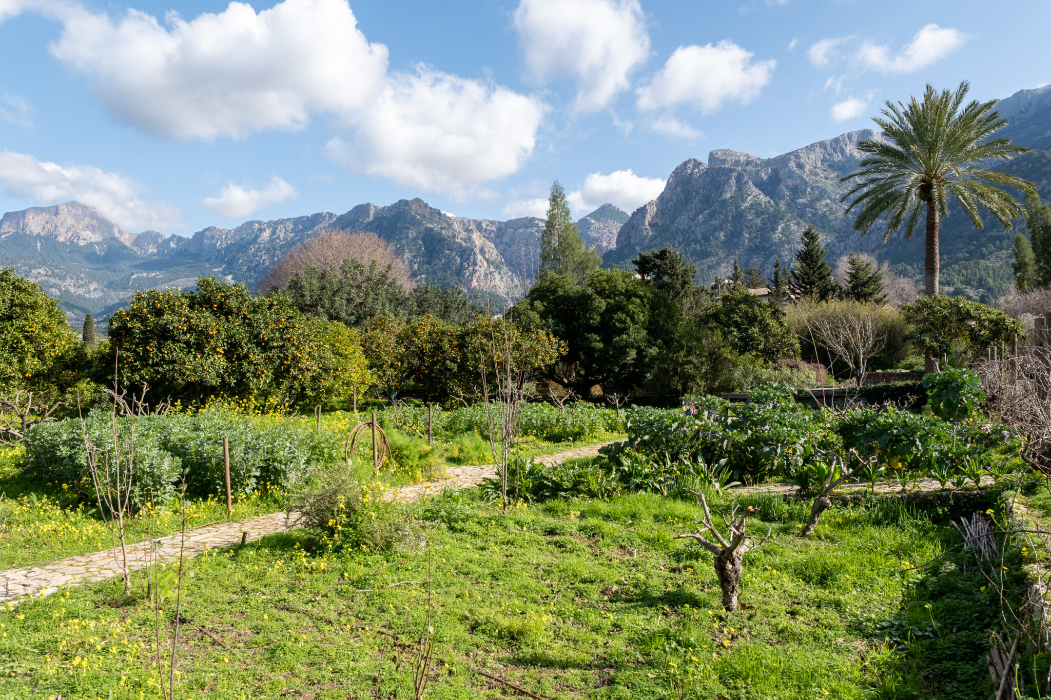 Fabelhafte Jardi Botanic De Soller Bildernull